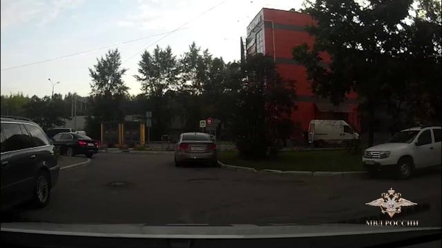 Ирина Волк: В Подмосковье сотрудники полиции применили огнестрельное оружие для остановки лихача