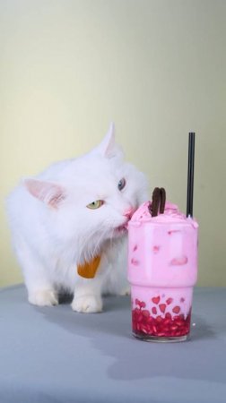 Пушистый повар готовит гранатовый коктейль🍹