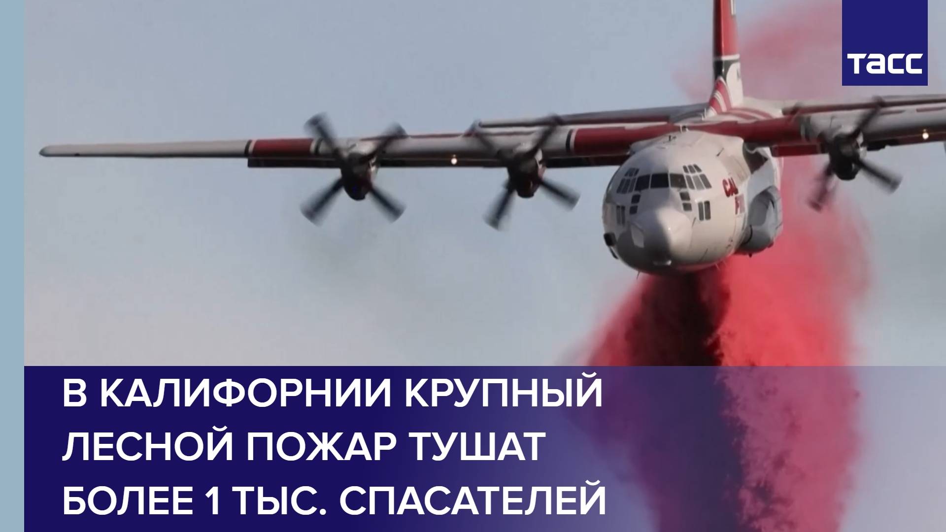 В Калифорнии крупный лесной пожар тушат более 1 тыс. спасателей