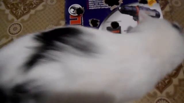 Игрушка для кота своими руками
