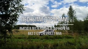 ВАЗ 2123 Chevrolet Niva. Лесными дорогами. Выезд в лес в районе п. Дачного
