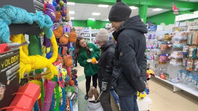 11 лет Мистер Гав!