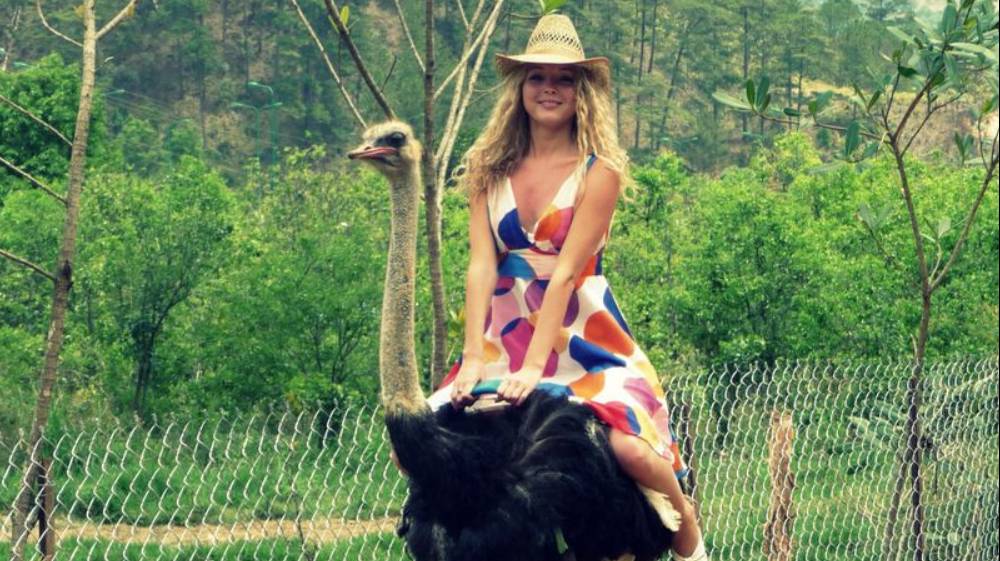 Ostrich Racing