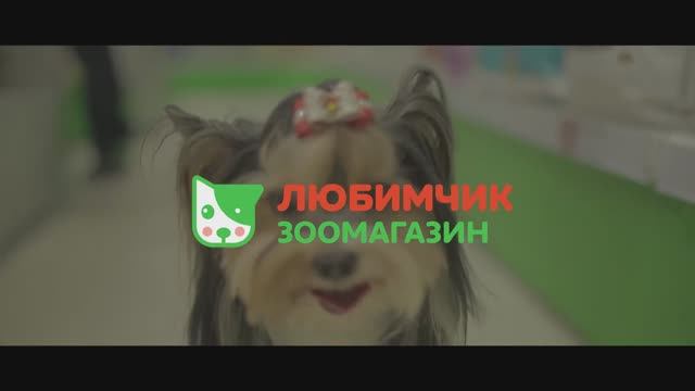 Стратегическое Event-мероприятие по повышению продаж