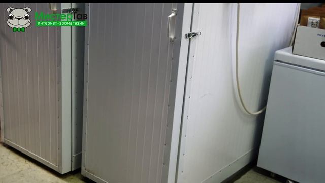 Экскурсия на завод по производству лакомств Мистер Гав