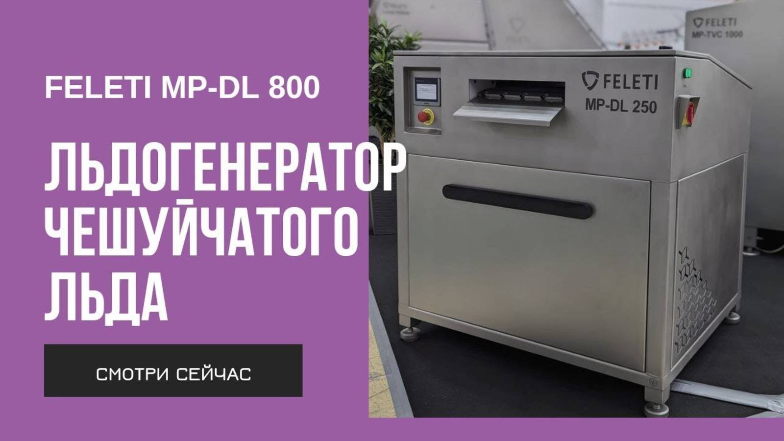 Льдогенератор чешуйчатого льда FELETI MP-DL 250