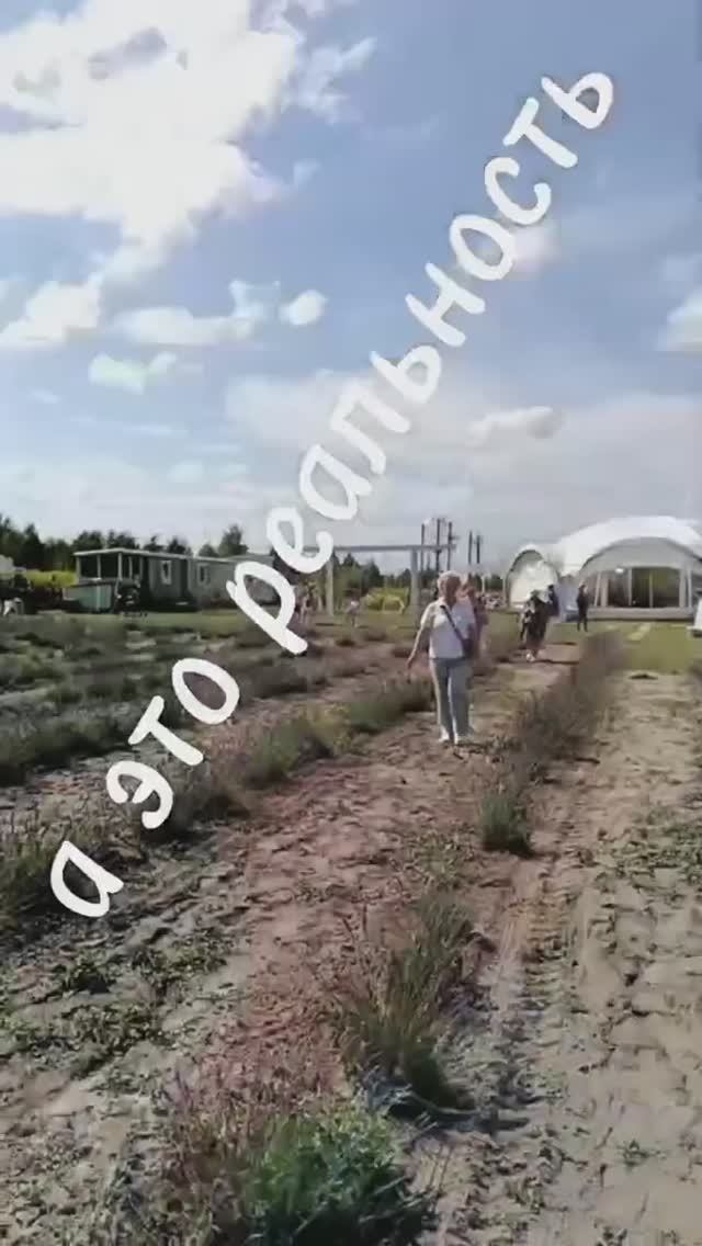 Прованс по Нижегородски. За что 3000 взяли?