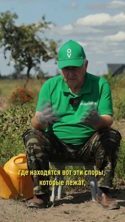 Почва будет как новенькая! Как обеззаразить грядки после сбора урожая