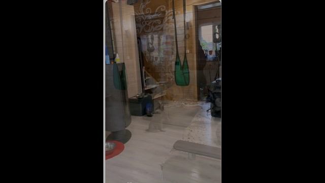 котик пушок,крутизна...