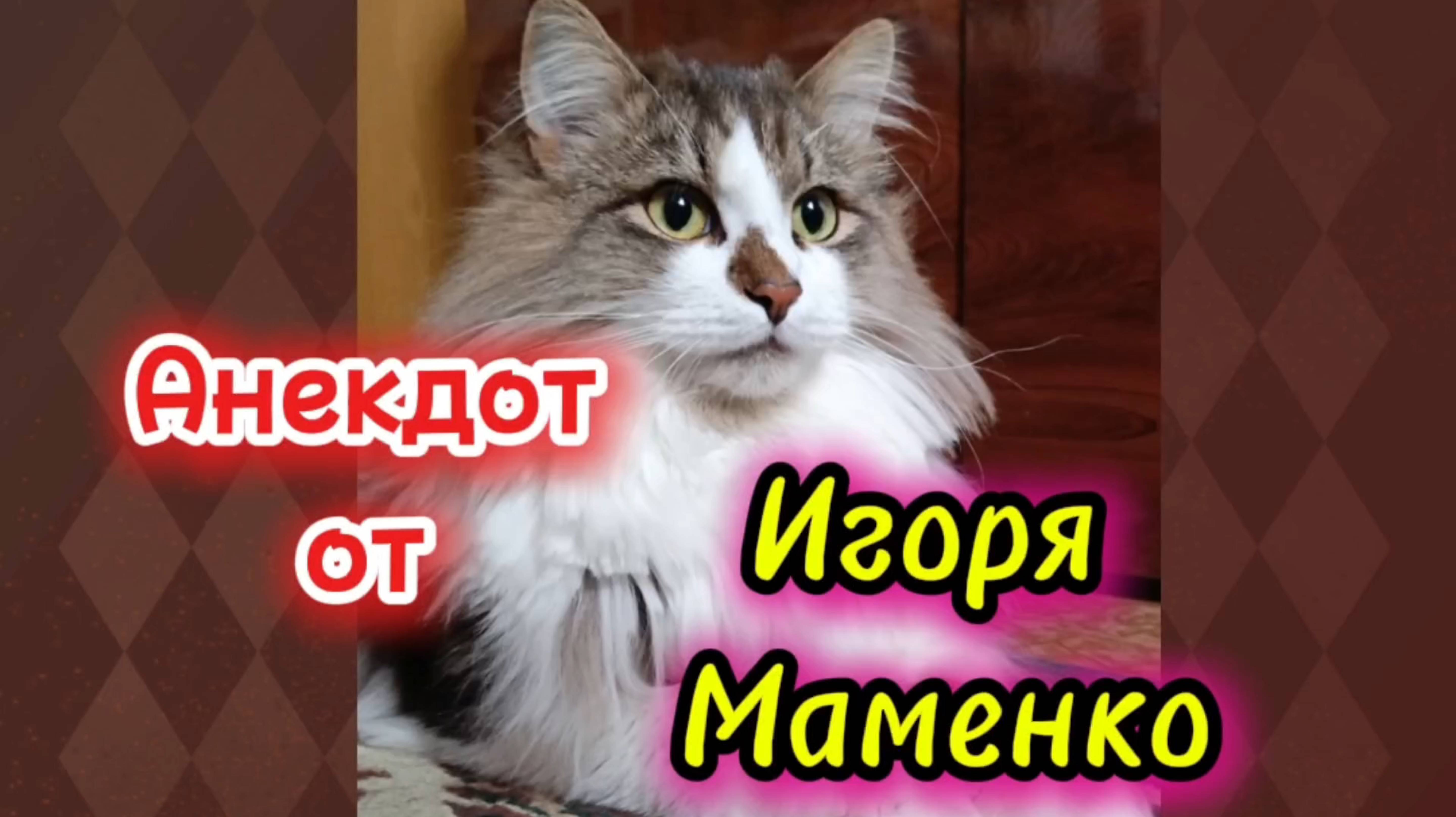 Анекдот от Игоря Маменко.
