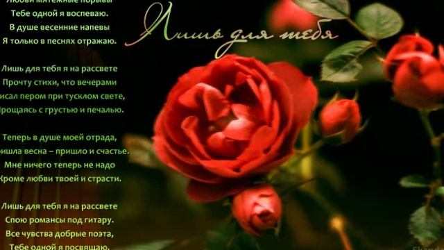 Верона Шумилова , - Одной Единственной!.. , муз. и исп. Самуил Фрумович