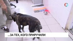 Новости от 05.08.2025