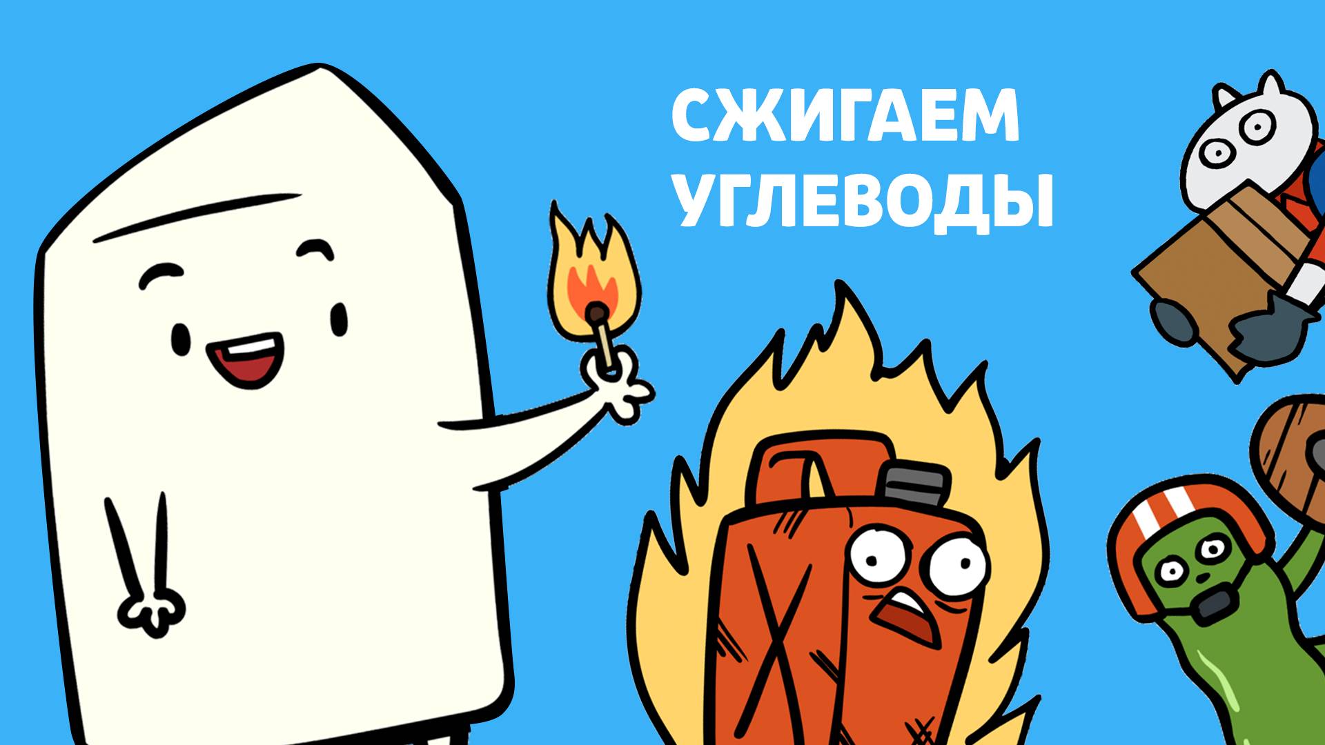 Эпизод 8 Белки, липиды и углеводы