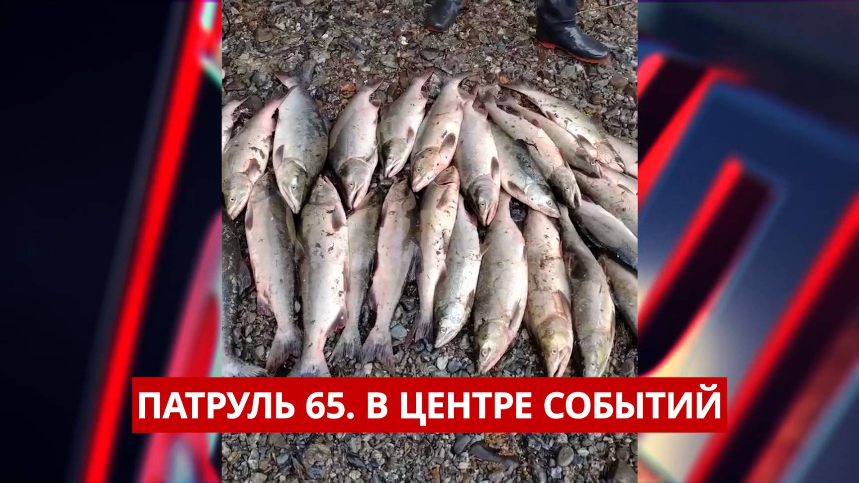 ПАТРУЛЬ 65: Разборки в ТЦ, отравленное спиртное и браконьеры. Происшествия Сахалина 07.08.25