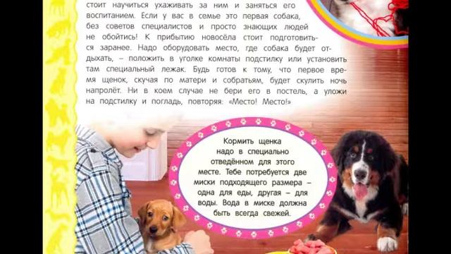 Собаки и щенки. Часть 13. Щенок в доме. Самая первая энциклопедия