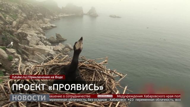 Заметки о море