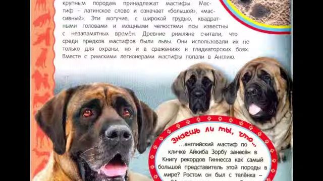 Собаки и щенки. Часть 8. Кто больше. Самая первая энциклопедия