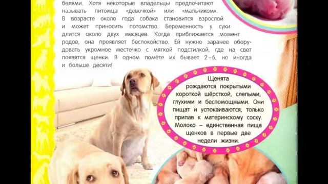 Собаки и щенки. Часть 4. Начало жизни. Самая первая энциклопедия