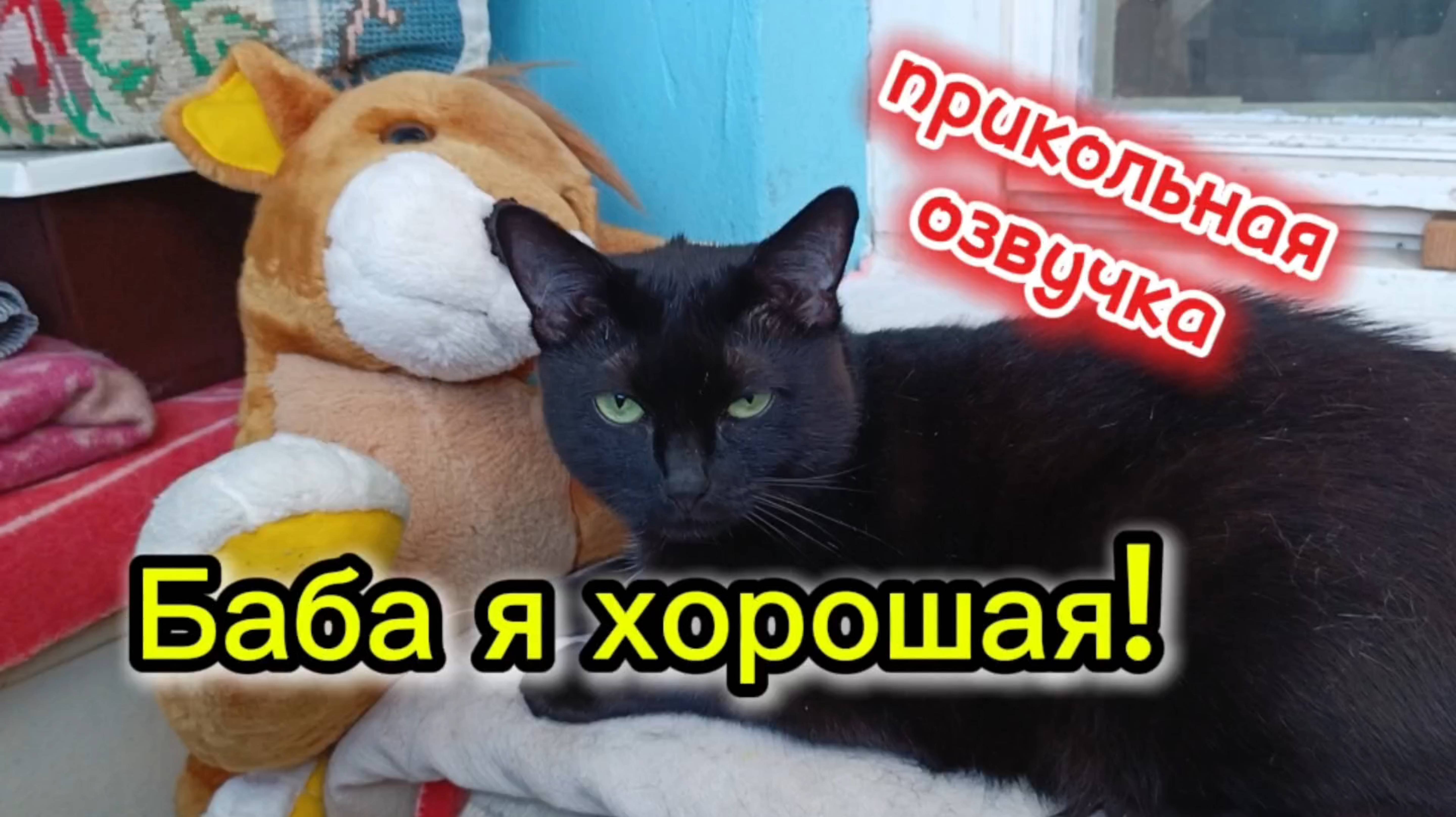Прикольная озвучка.
