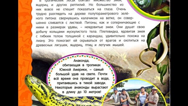 Животные джунглей. 14 часть. Змеи и ящерицы