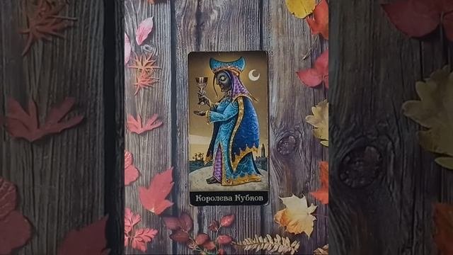 Для начинающих.Таро безумной луны.Карты двора.Королева Кубков
