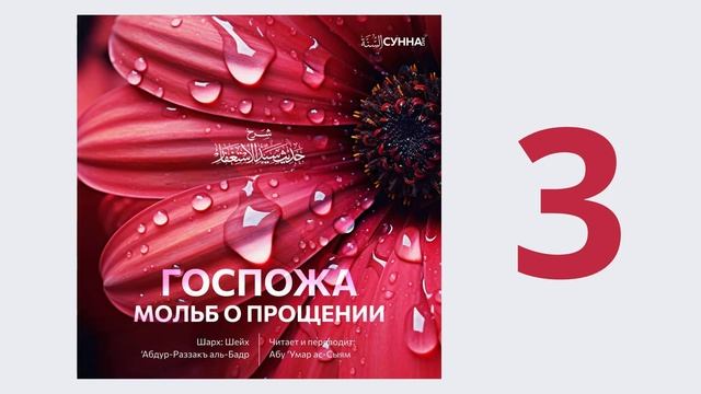 3. Госпожа мольб о прощении  // шейх Абдурраззак аль-Бадр // Абу Умар Ас-Сыям
