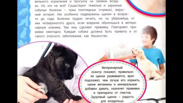 Собаки и щенки. Часть 14. Уход за собакой. Самая первая энциклопедия