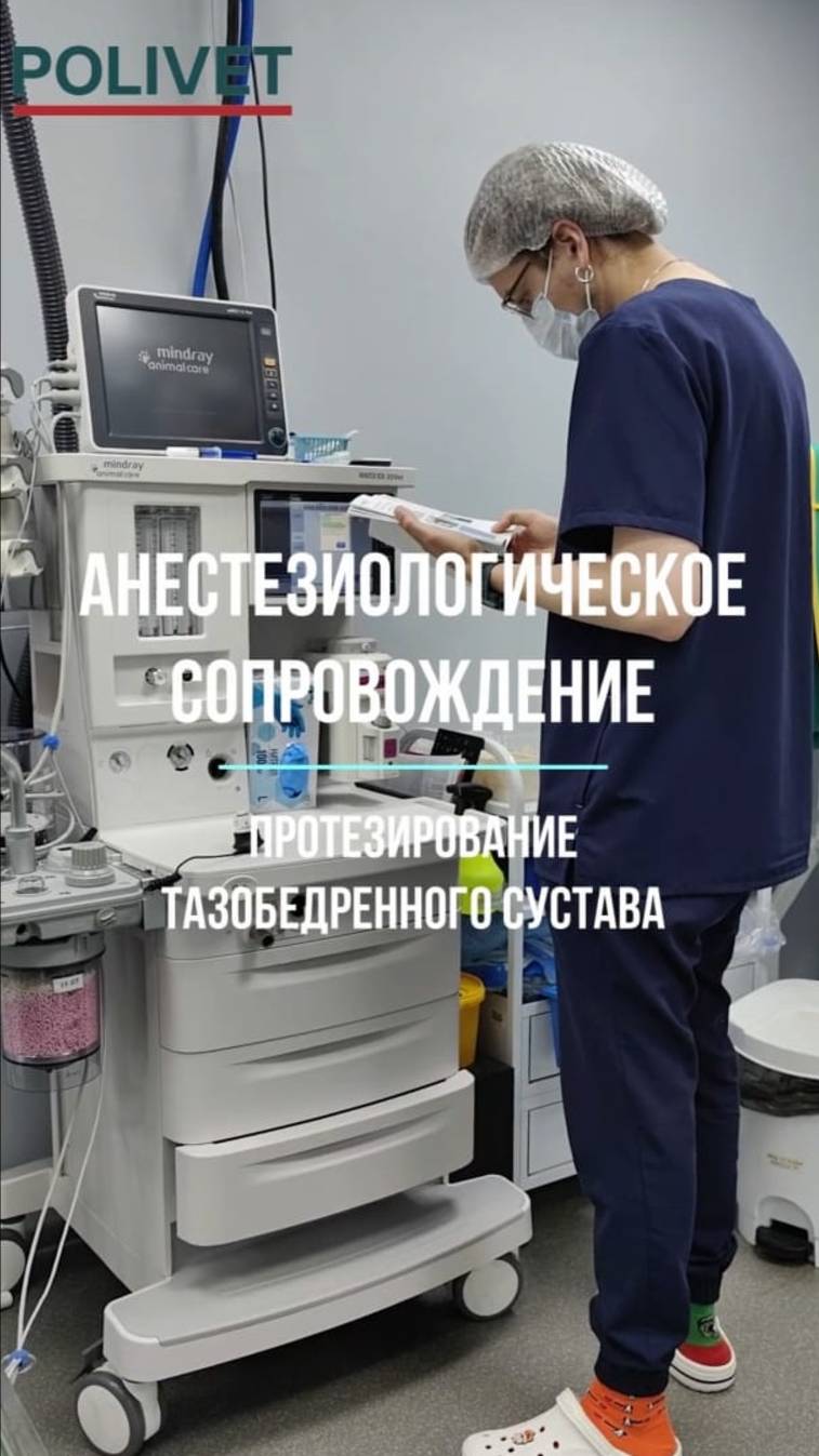 Протезирование ТБС у собаки. Малинуа. г. Зеленоград. Polivet