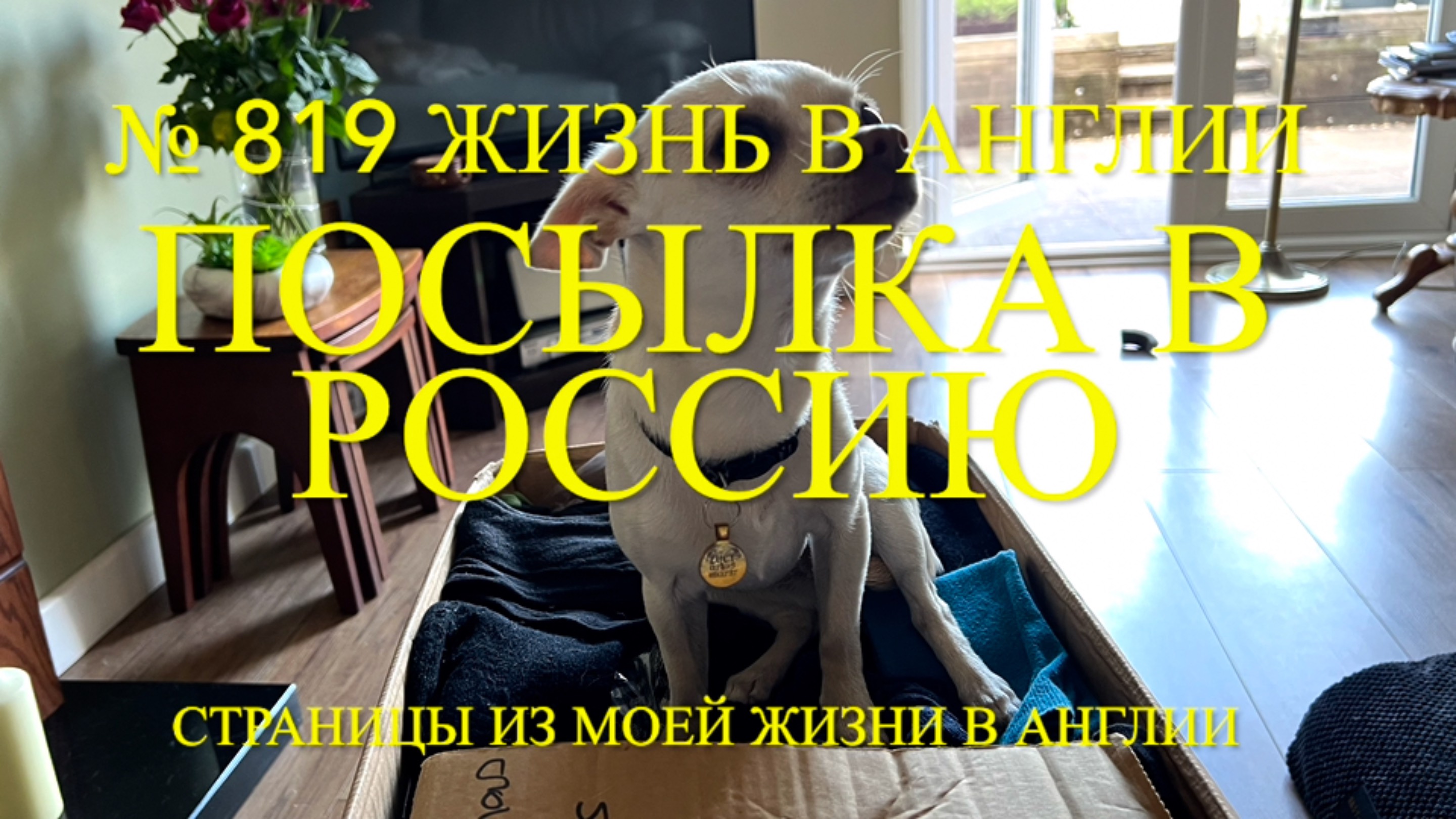 Посылка в Россию. Что отправляю, как и сколько это стоит. № 819 Жизнь в Англии