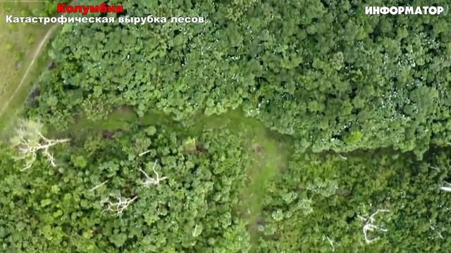 Новости_Сегодня_06_08_2025_Россия,_Москва,_Экстренный_вызов_нСША Венс