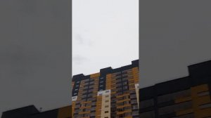 Пикник