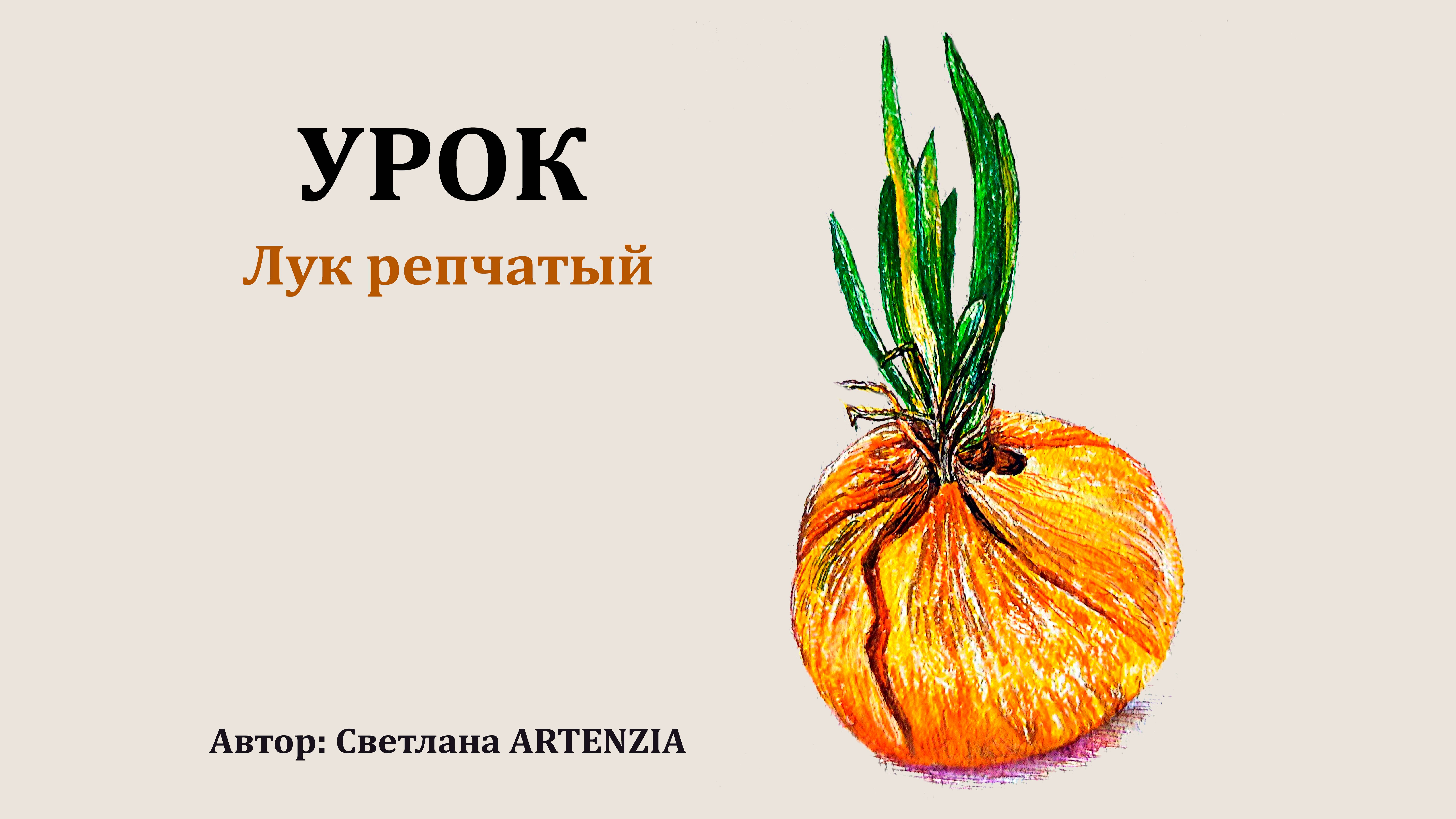 Лук репчатый