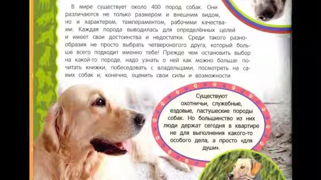 Собаки и щенки. Часть 6. Самая лучшая порода. Самая первая энциклопедия