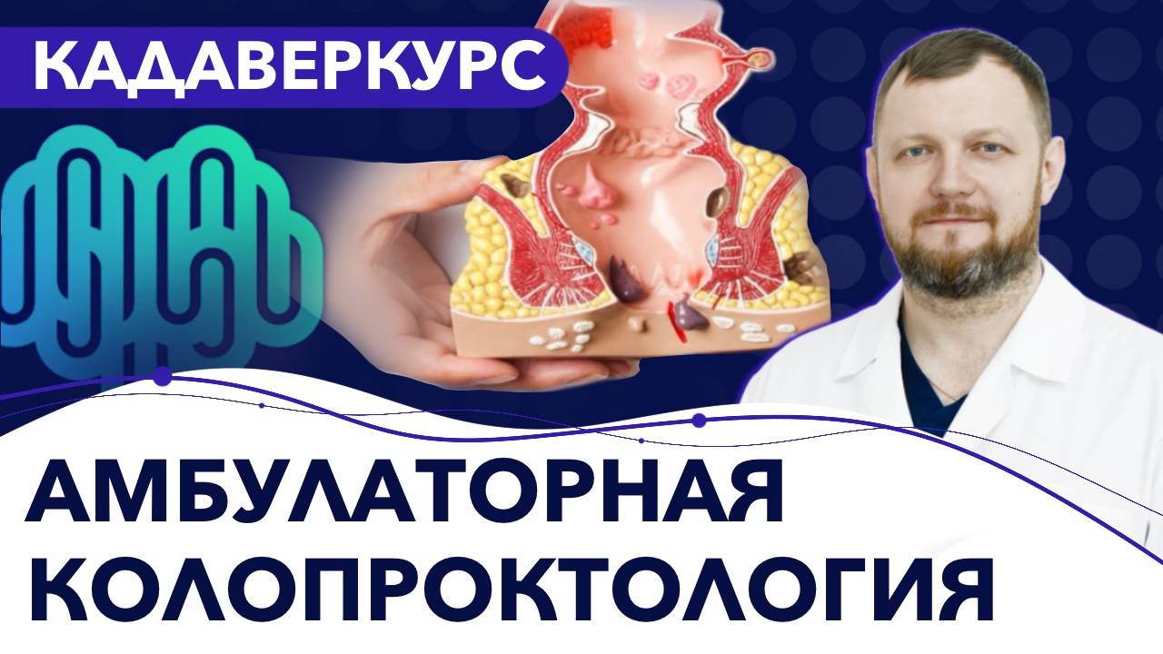 Амбулаторная колопроктология. Кадаверкурс.