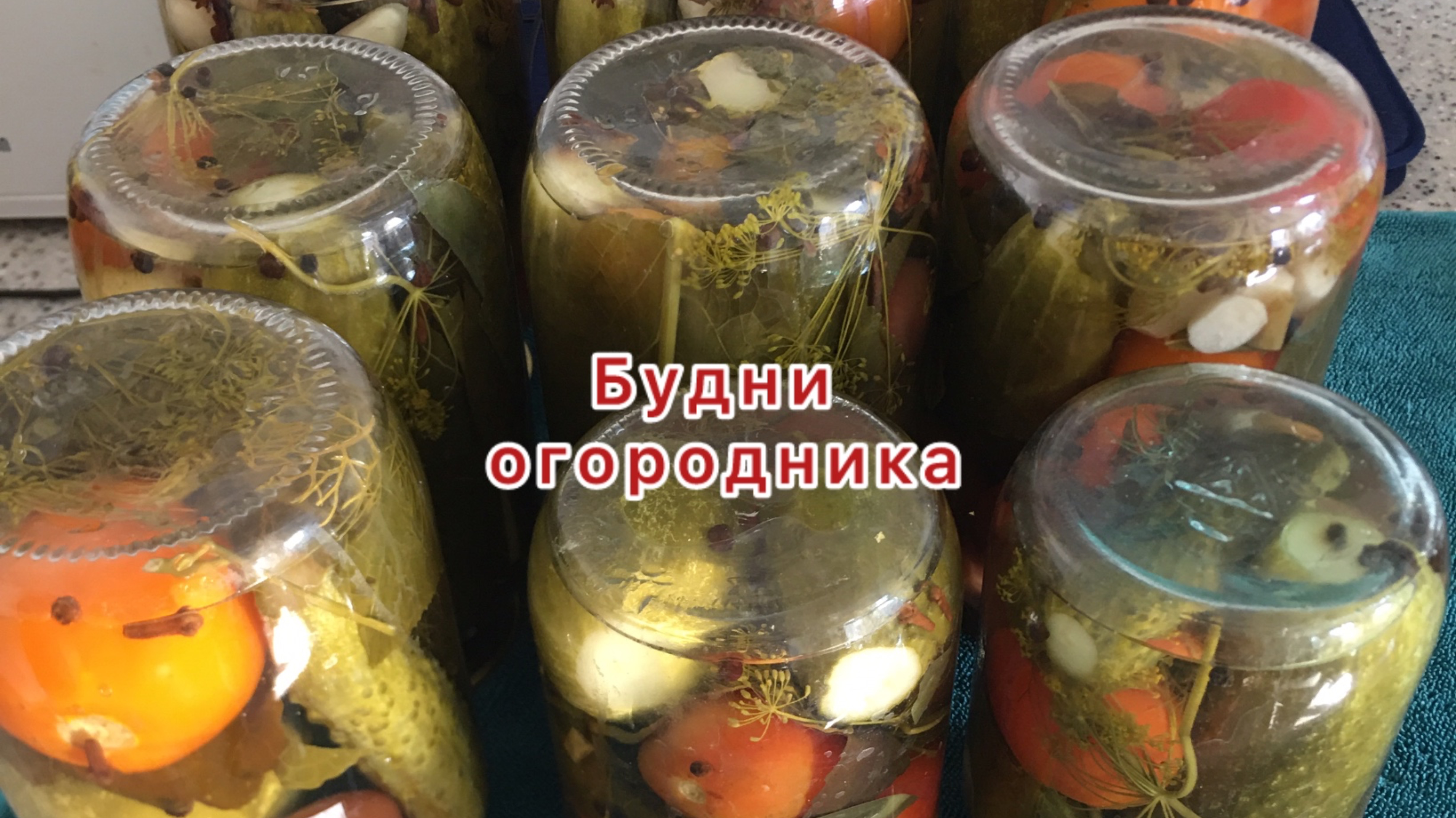 Будни огородника