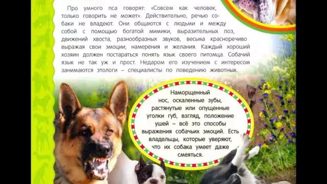 Собаки и щенки. Часть 3. Собачье красноречье. Самая первая энциклопедия