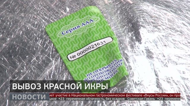 Красная икра: сколько можно вывезти из края? Новости. 06/08/2025. GuberniaTV