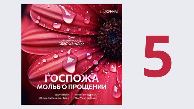 5. Госпожа мольб о прощении  // шейх Абдурраззак аль-Бадр // Абу Умар Ас-Сыям