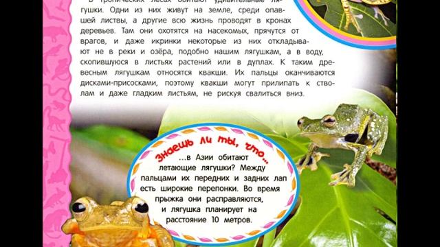 Животные джунглей. 15 часть. Лягушки