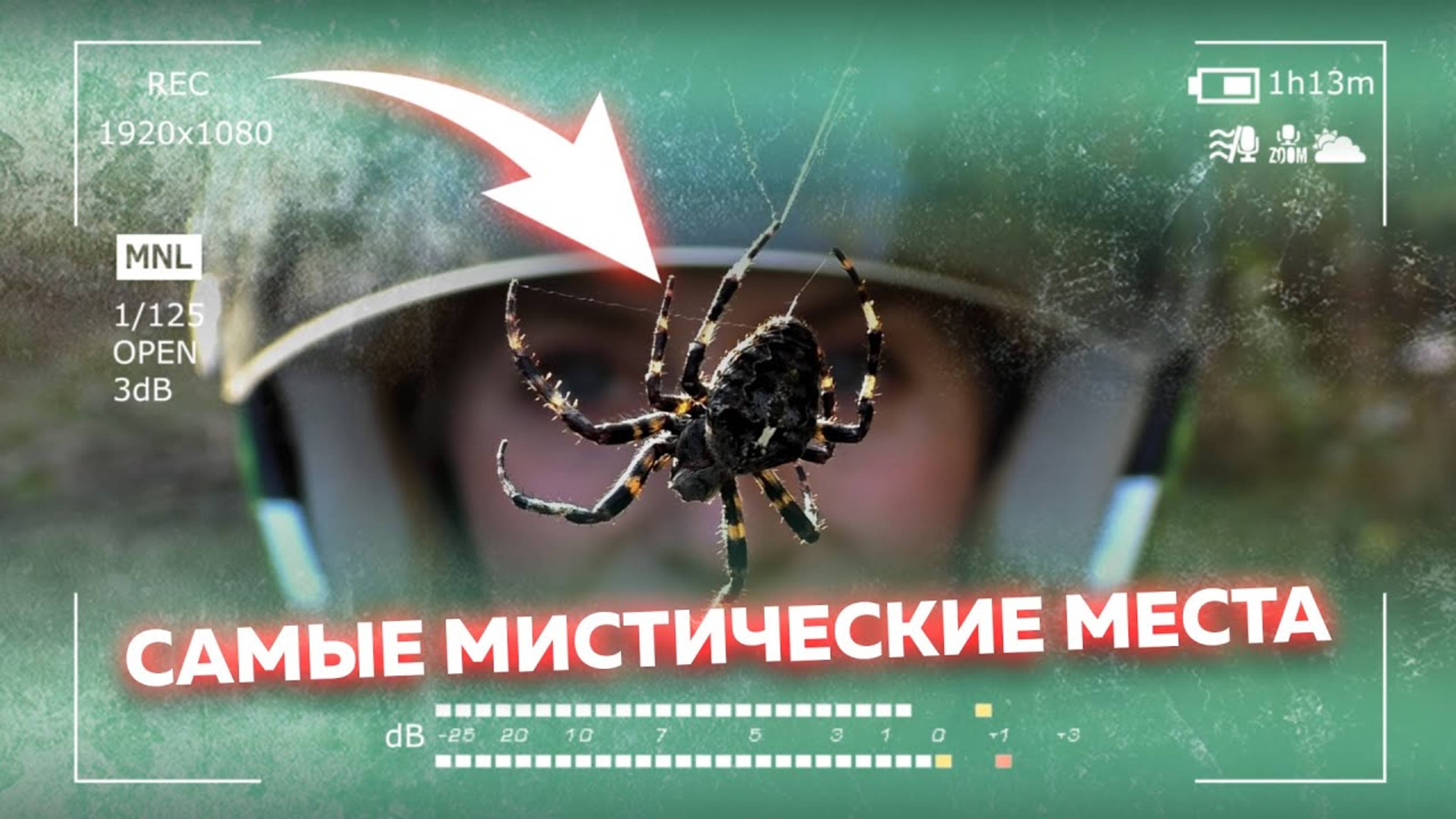 ЛЕС ХРАНИТ ТАЙНЫ: НАТКНУЛИСЬ НА ОСТАТКИ СТАРОЙ КАРЕТЫ!