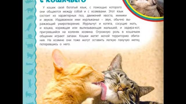 Кошки и котята. Часть 4. В переводе с кошачьего. Самая первая энциклопедия