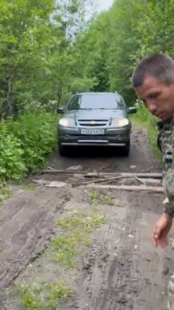 нива и только нива