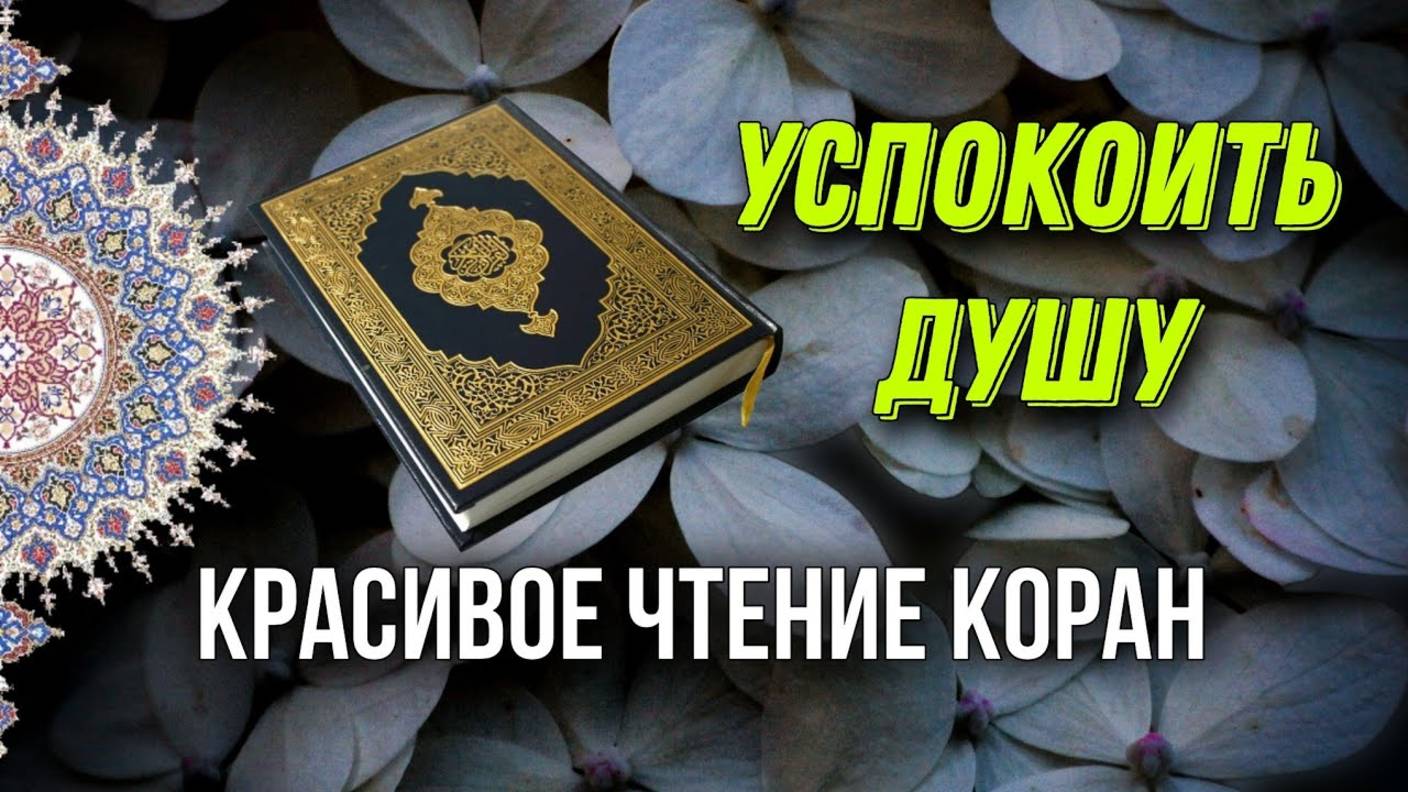 КРАСИВОЕ ЧТЕНИЕ КОРАНА + ЗВУКИ ДОЖДЯ / УСПОКОЕНИЕ ДУШИ / АБДУРАХМАН МАСУД