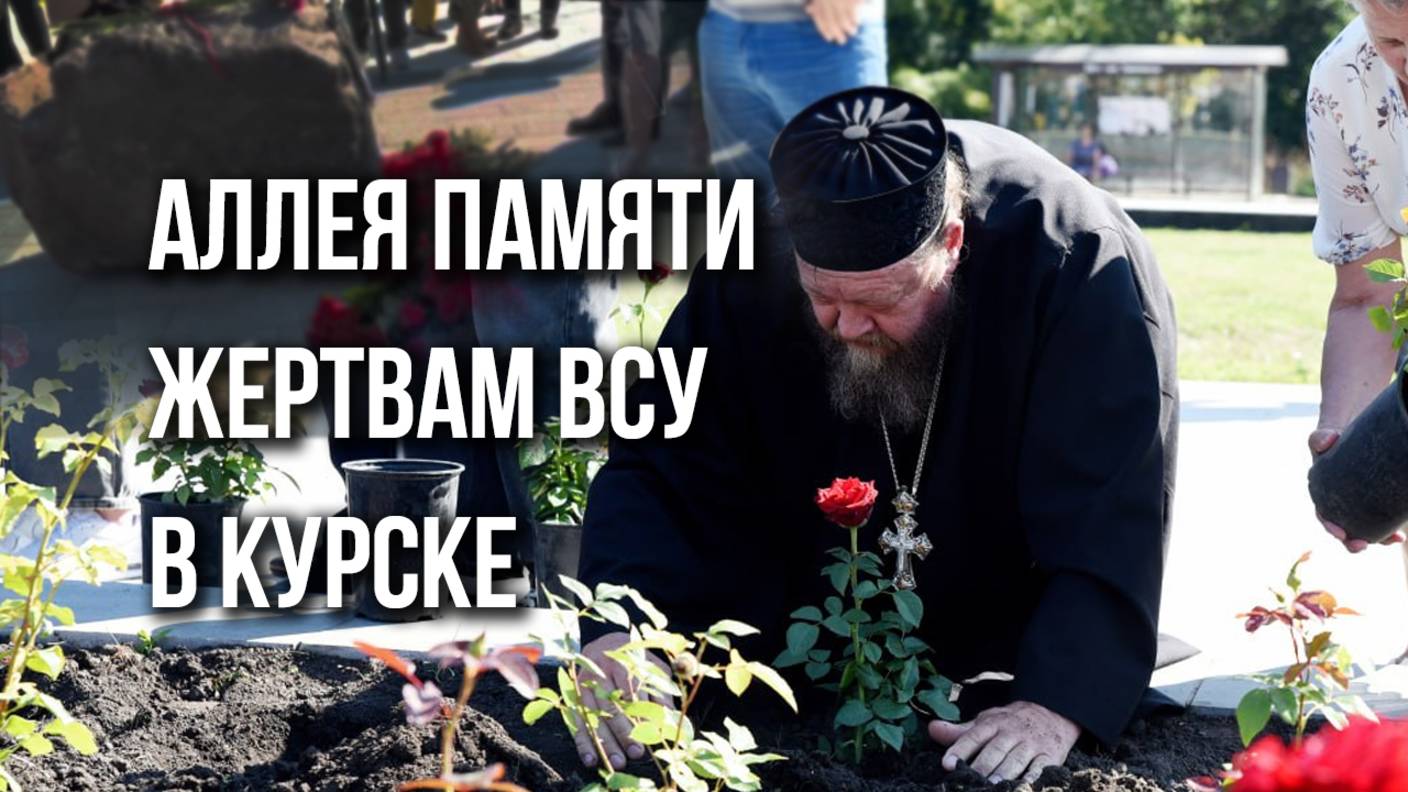 В Курске появилась аллея роз в память о погибших от вторжения ВСУ. Смотрите, как она выглядит