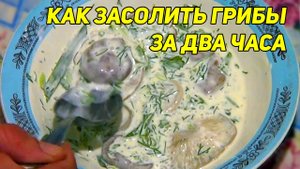 Как засолить грибы  за два часа