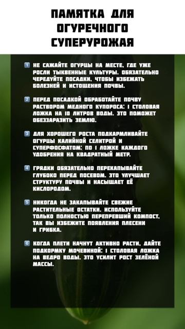 Дача сад огород