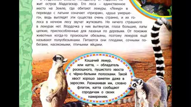 Животные джунглей. 7 часть. Лемуры