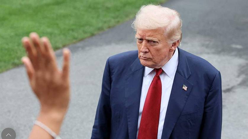 Политолог сравнил США с загнавшей себя в тупик акулой из-за действий Трампа