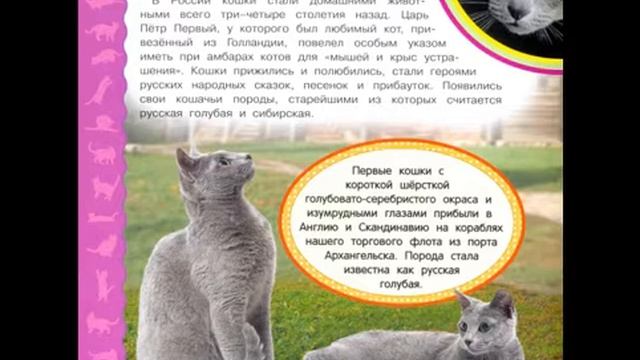 Кошки и котята. Часть 11. Родом из России. Самая первая энциклопедия