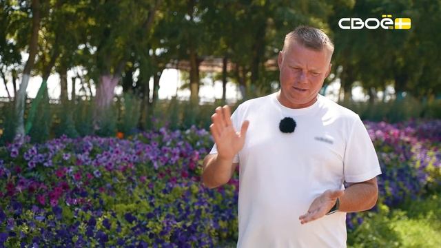 Сценарий цен. Арбуз